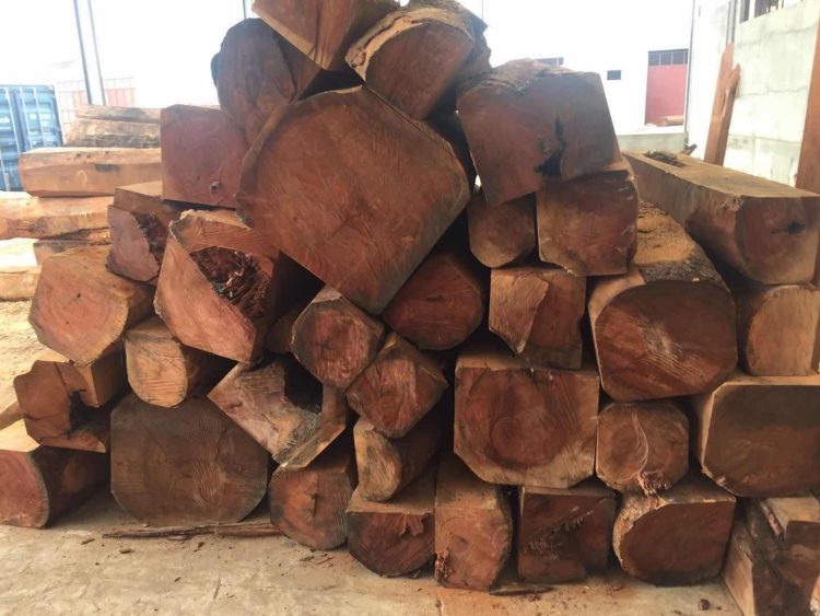 Money laundering, illicit timber among Namibia’s economic headaches