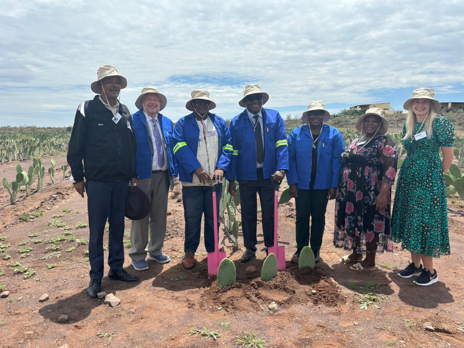 Nopal to generate 5MW of electricity from Namibia cactus farm